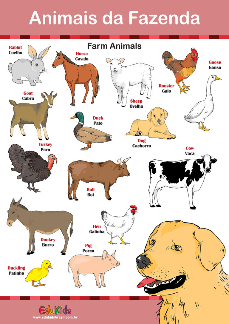 Animais da Fazenda » Jesus Kids