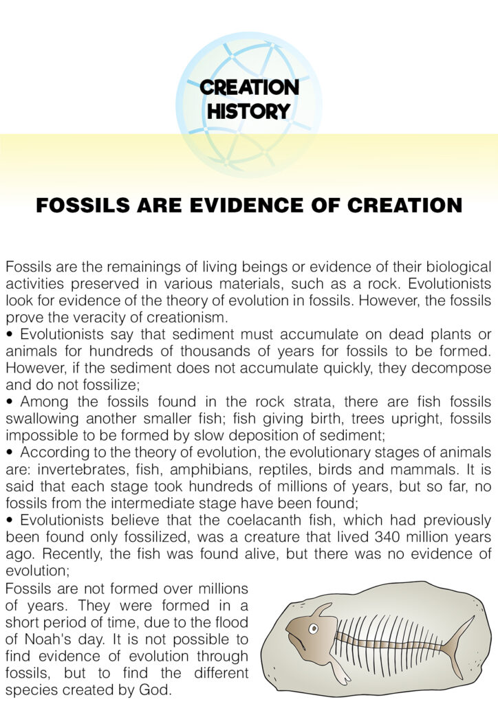 Fossils are evidence of creation » Jesus Kids